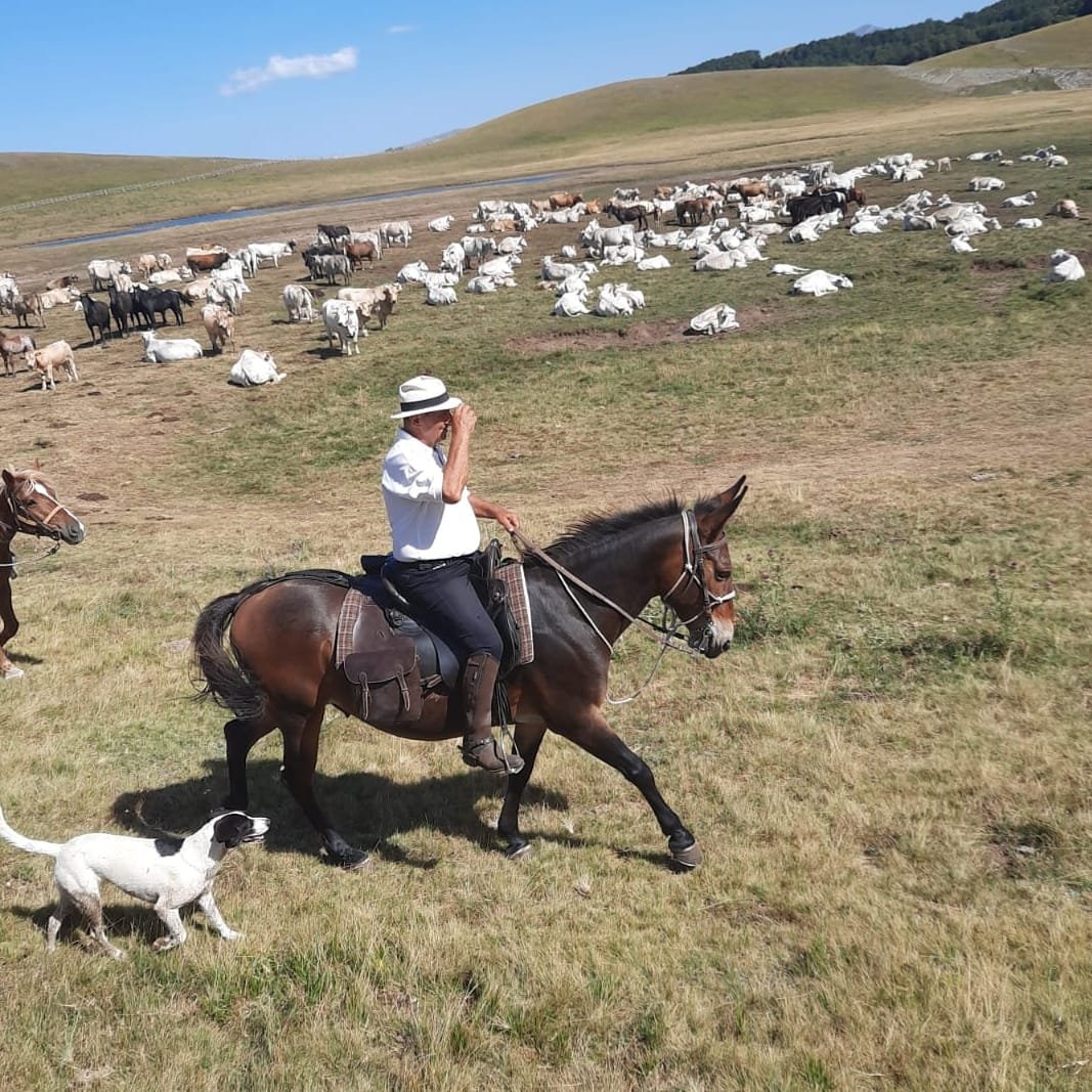 Trekking a cavallo di due giorni per godersi tutto il bello della ...
