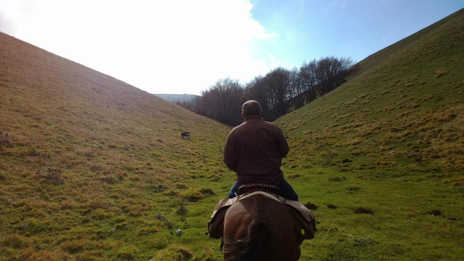 23 e 24 Aprile due giorni a cavallo immersi tra i verdi boschi delle ...
